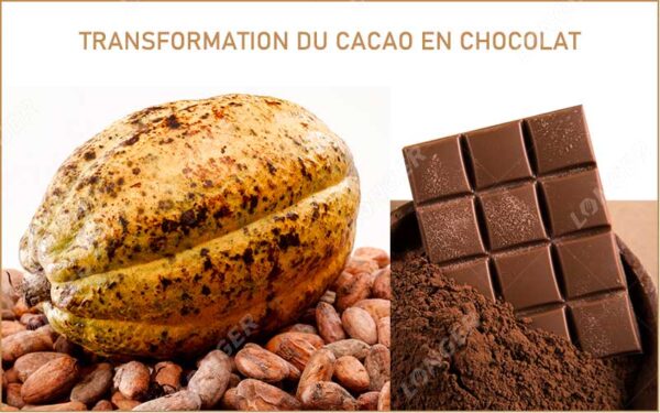 Matériel Nécessaire À La Transformation Du Cacao En Chocolat